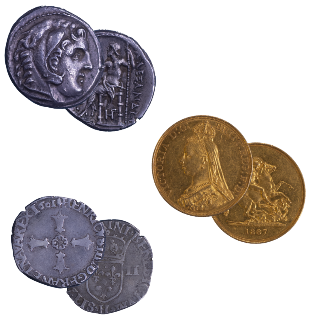 40 nuovi prodotti nel negozio di numismatica